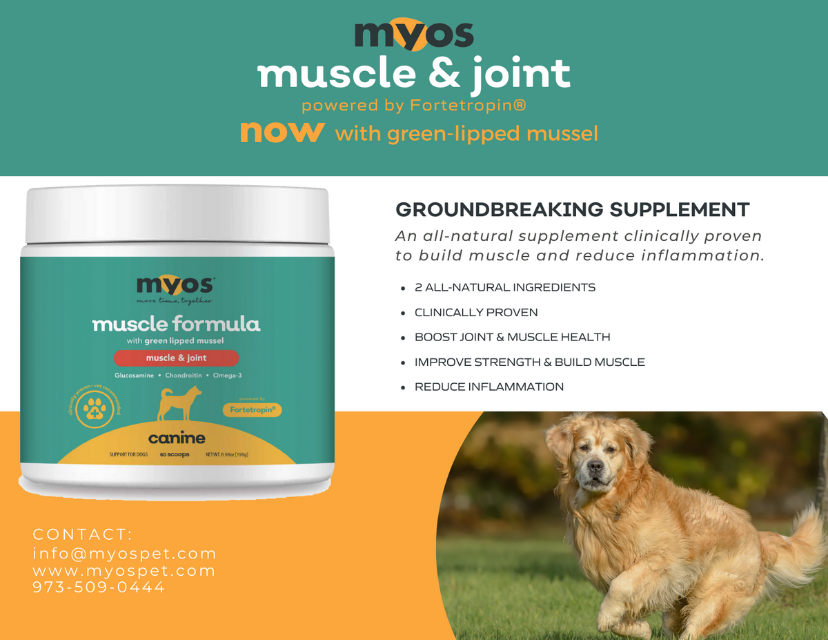 MYOS Muscle & Joint Formula with Green Lipped Mussel – Muffinsaurs Studio